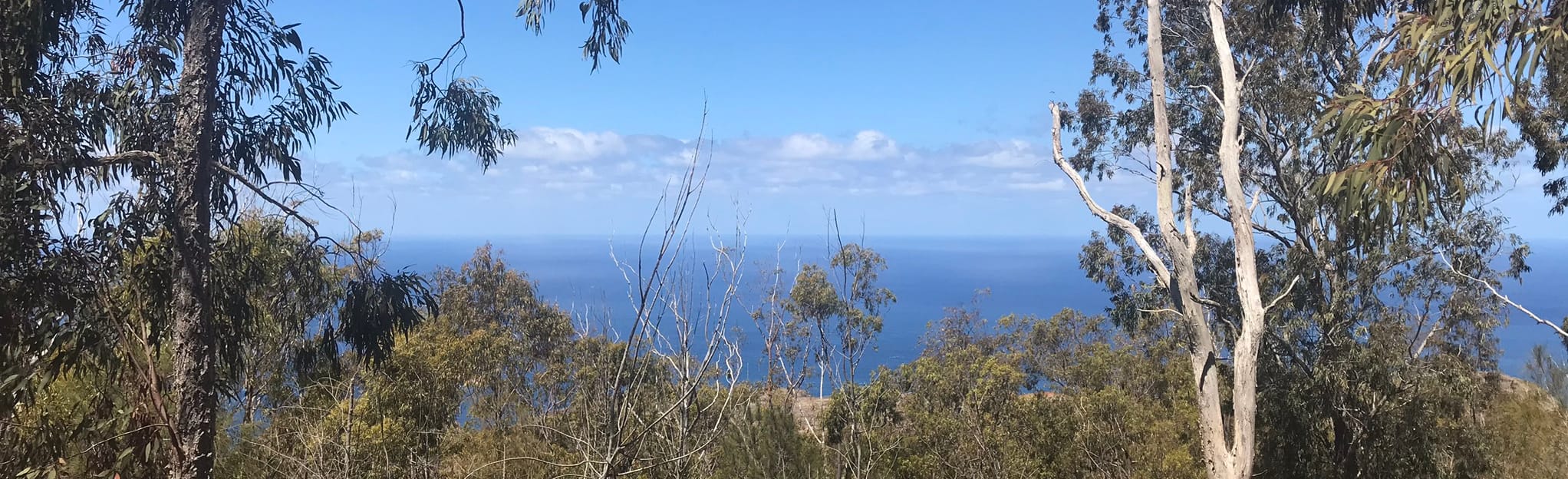 Nanakuli Lookout, Oahu, Hawaii - 121 Reviews, Map | AllTrails