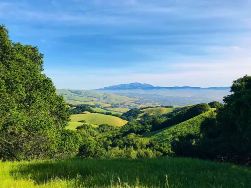 Best 10 Hiking Trails in Pleasanton Ridge Regional Park | AllTrails