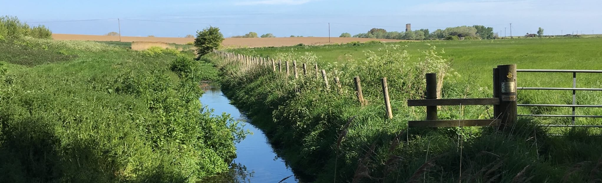 Reculver Walking Tour, Kent, England - 52 Reviews, Map | AllTrails