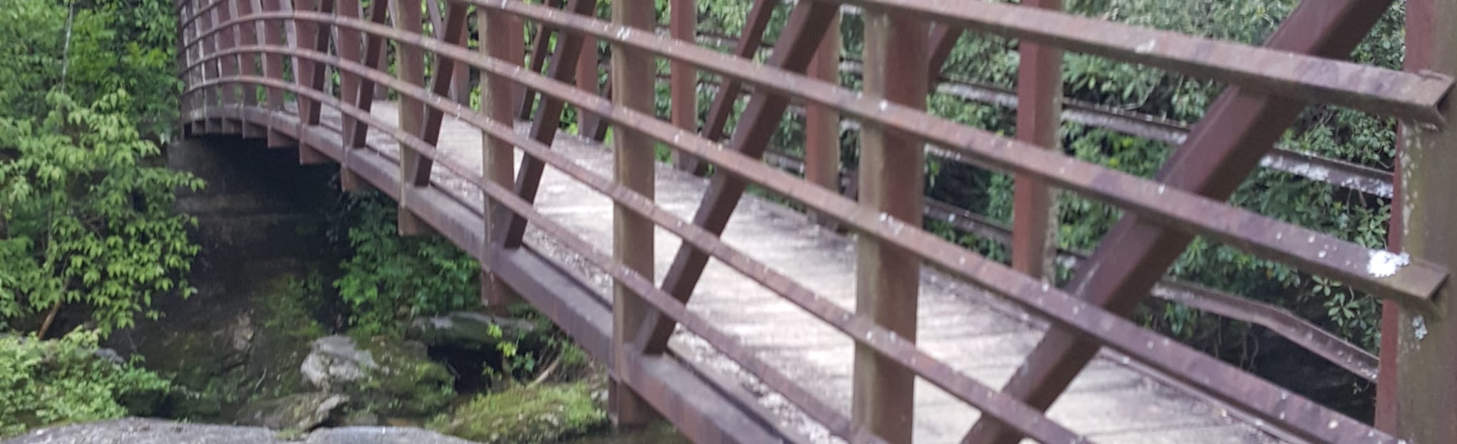 Chattooga River Steel Bridge , North Carolina - 48 Reviews, Map | AllTrails