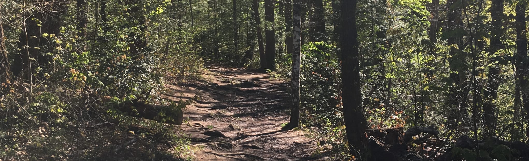 Angel Windows Trail, 980 Fotos - Kentucky | AllTrails