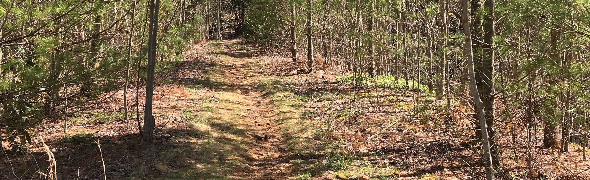 Sharp Top Mountain Loop, Virginia - 27 Reviews, Map | AllTrails