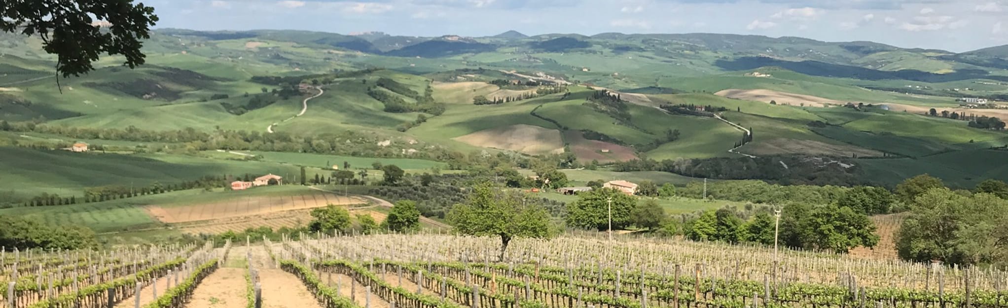 Bagno Vignoni - San Quirico d'Orcia via Strada Ripa d'Orcia: 39 Reviews ...