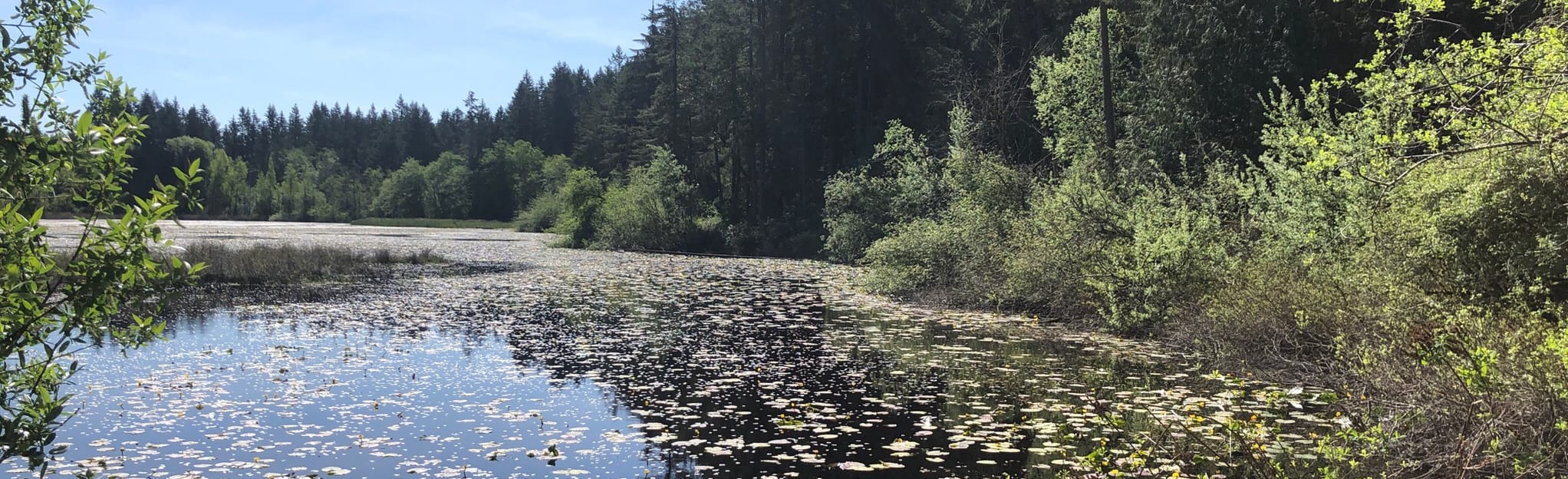 Fisher Pond: 36 foto - Washington | AllTrails