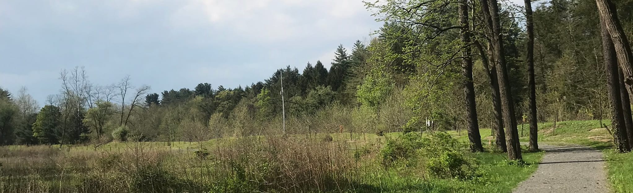 ForEvergreen Preserve Loop | Map, Guide - Pennsylvania | AllTrails