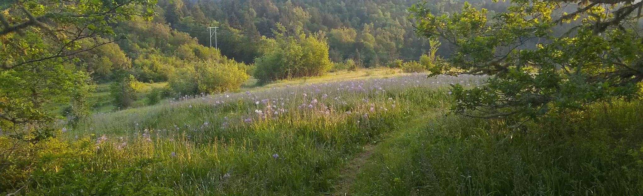 Moon Mountain Loop, Oregon - 160 Reviews, Map | AllTrails