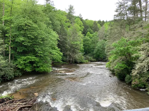 10 Best Hikes and Trails in Blue Ridge Wildlife Management Area | AllTrails