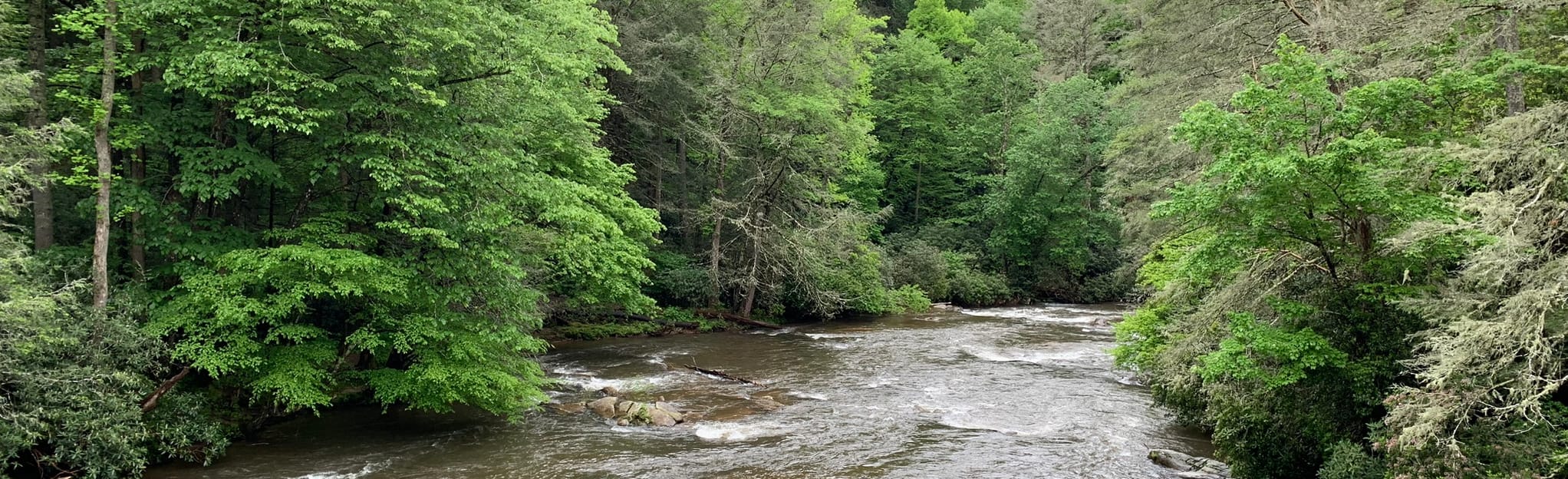 Benton Mackaye and Duncan Ridge Trail: Three Forks to Morgantown Hwy 60 ...