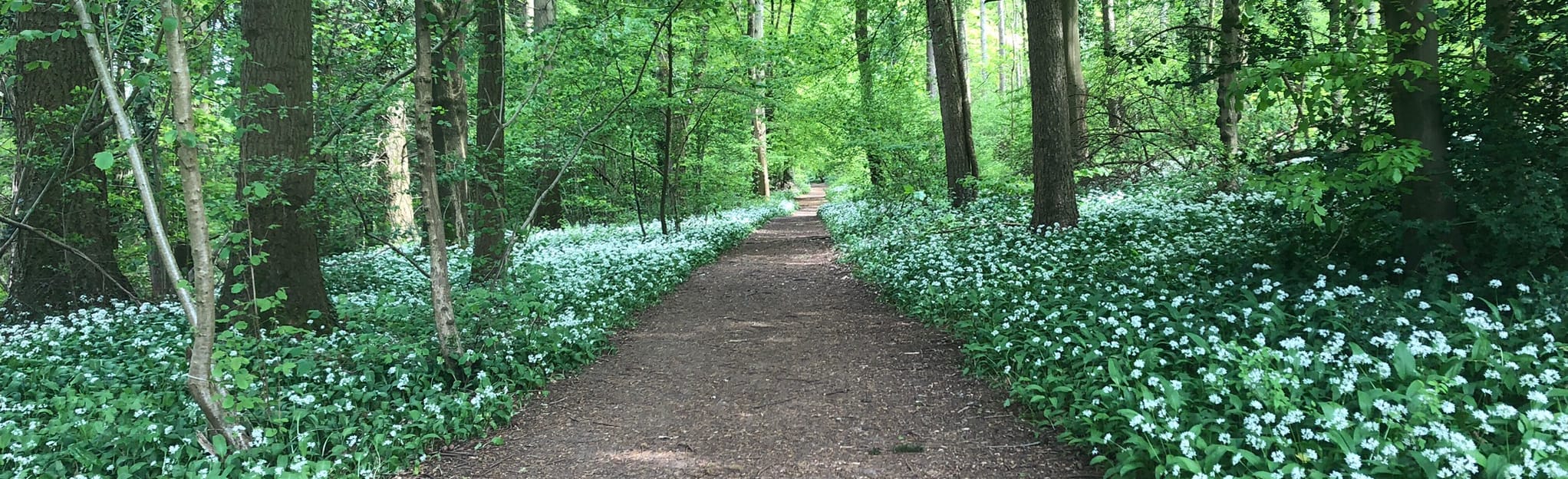 Freshford and Iford Manor Circular - Wiltshire, England | AllTrails