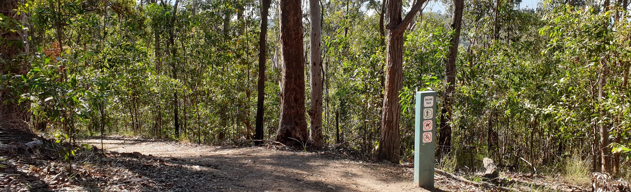 Simpson Falls via Powerful Owl Trail, Queensland, Australia - 160 ...