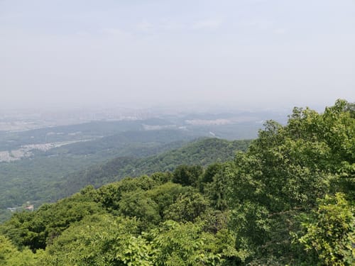 Best Forest Trails in Zhongshan Mountain National Park | AllTrails