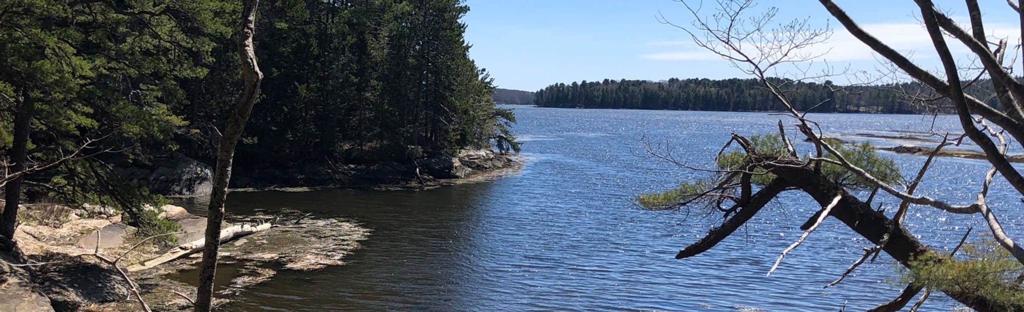 Bonyun Preserve Loop, Maine - 140 Reviews, Map | AllTrails