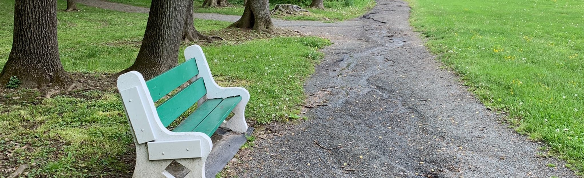 Jasper Park Loop, Pennsylvania - 40 Reviews, Map | AllTrails
