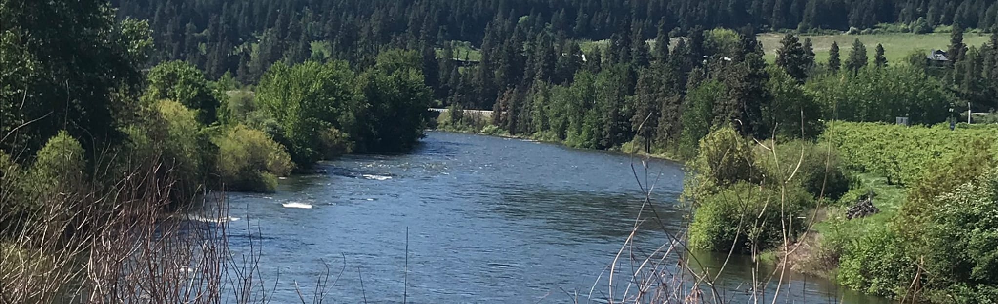 Peshastin Mill Trail - Washington | AllTrails