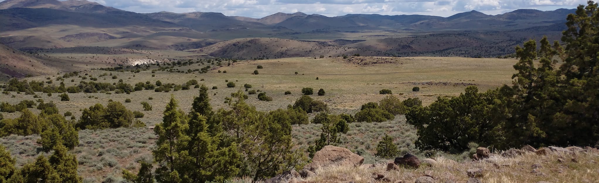 Lagomarsino Petroglyphs: 138 Reviews, Map - Nevada | AllTrails