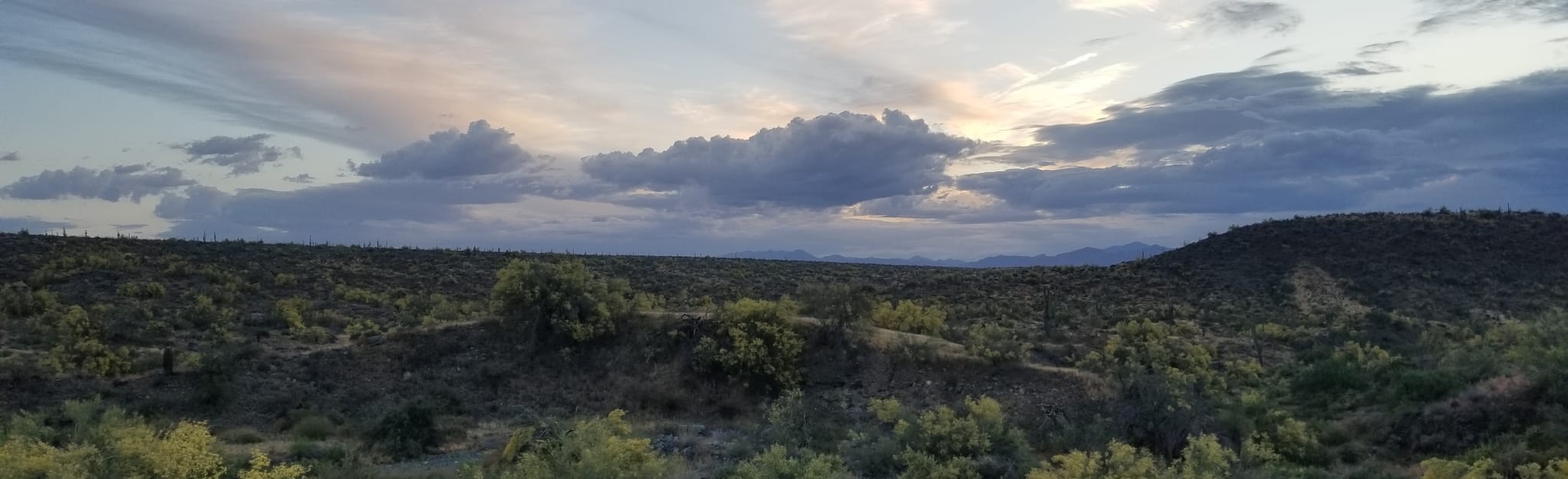 Thompson Peak via Dixie Mine Trail, Arizona - 814 Reviews, Map | AllTrails