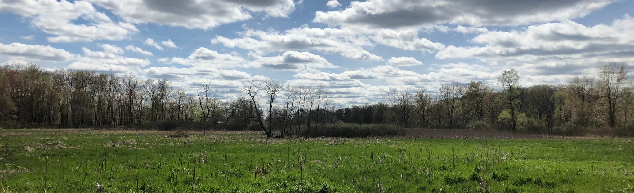 Lake Lansing Trail North: Extended Loop, Michigan - 478 Reviews, Map ...