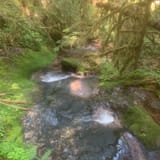 North Umpqua Trail: Swiftwater and Tioga Segment, Oregon - 36 Reviews ...