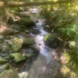 North Umpqua Trail: Swiftwater and Tioga Segment, Oregon - 36 Reviews ...