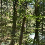 North Umpqua Trail: Swiftwater and Tioga Segment, Oregon - 36 Reviews ...