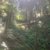 North Umpqua Trail: Swiftwater and Tioga Segment, Oregon - 36 Reviews ...