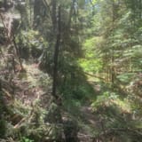 North Umpqua Trail: Swiftwater and Tioga Segment, Oregon - 36 Reviews ...