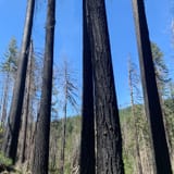 North Umpqua Trail: Swiftwater and Tioga Segment, Oregon - 37 Reviews ...