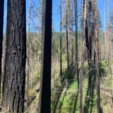 North Umpqua Trail: Swiftwater and Tioga Segment, Oregon - 37 Reviews ...