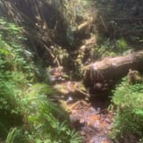North Umpqua Trail: Swiftwater and Tioga Segment, Oregon - 36 Reviews ...