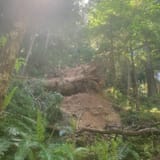 North Umpqua Trail: Swiftwater and Tioga Segment, Oregon - 36 Reviews ...