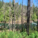 North Umpqua Trail: Swiftwater and Tioga Segment, Oregon - 37 Reviews ...