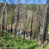North Umpqua Trail: Swiftwater and Tioga Segment, Oregon - 37 Reviews ...