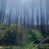 North Umpqua Trail: Swiftwater and Tioga Segment, Oregon - 37 Reviews ...