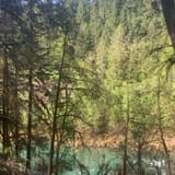 North Umpqua Trail: Swiftwater and Tioga Segment, Oregon - 37 Reviews ...