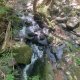 North Umpqua Trail: Swiftwater and Tioga Segment, Oregon - 36 Reviews ...