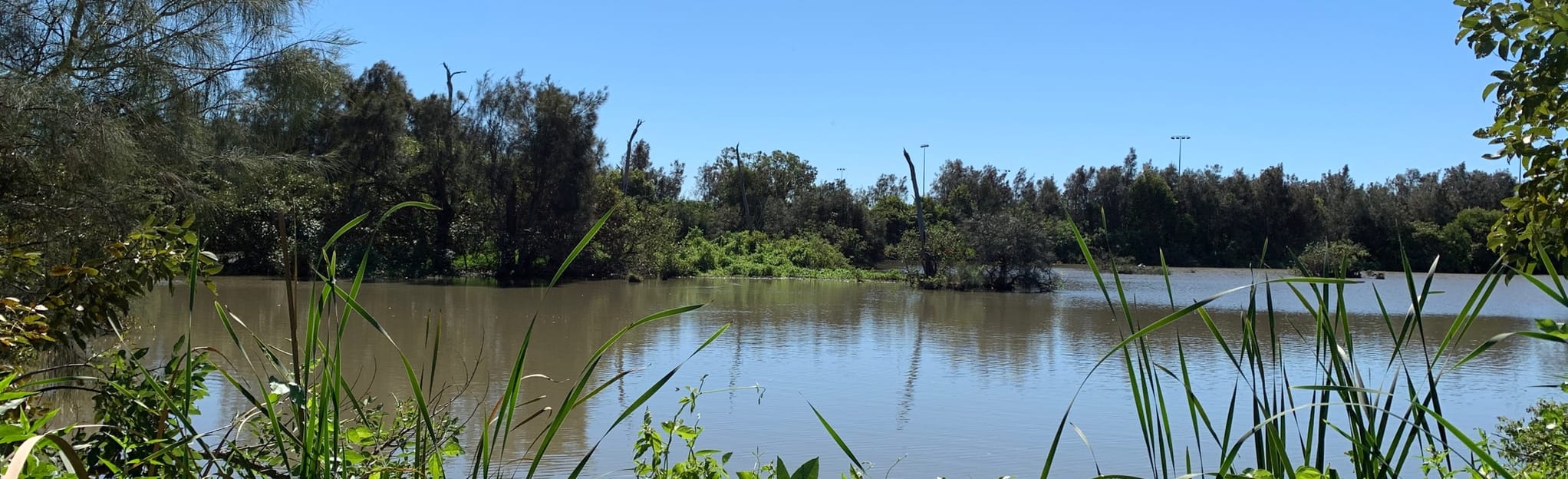 Oxley Creek Common Walk , Queensland, Australia - 193 Reviews, Map ...