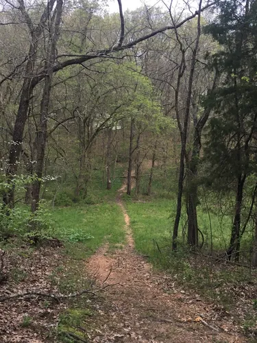 Best Hikes and Trails in Long Ridge Conservation Area | AllTrails