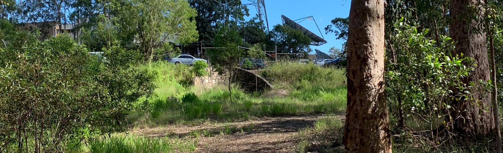 Ghost Hole and Powerful Owl Track, Queensland, Australia - 66 Reviews ...