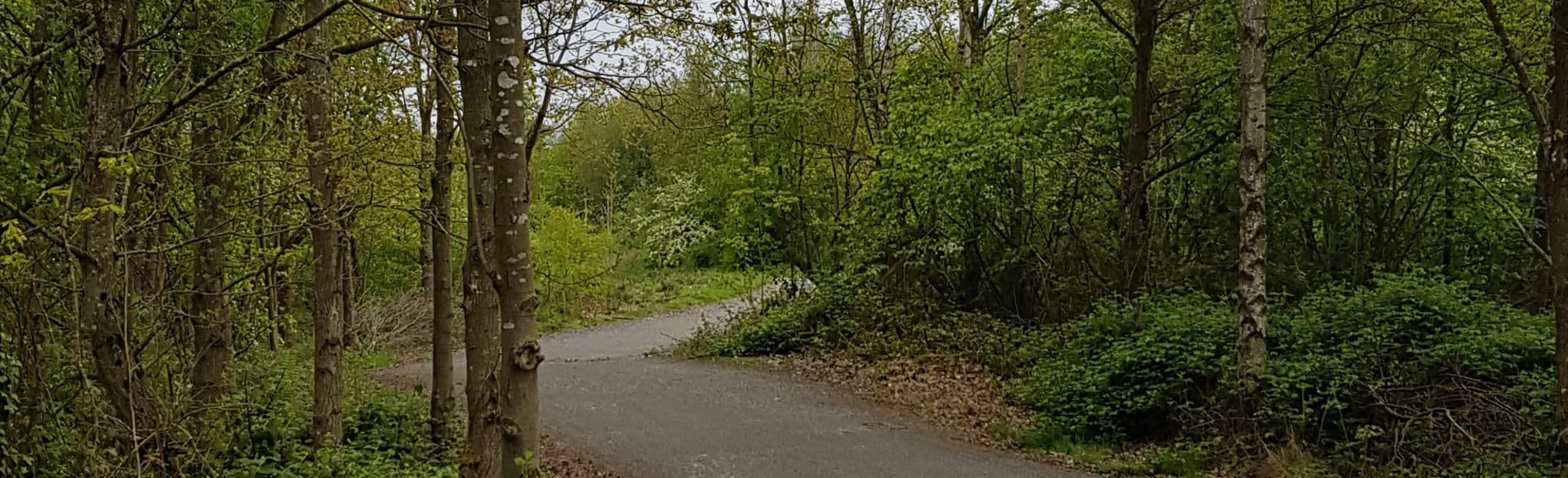 Shellbrook Trail Circular, Leicestershire, England - 50 Reviews, Map ...