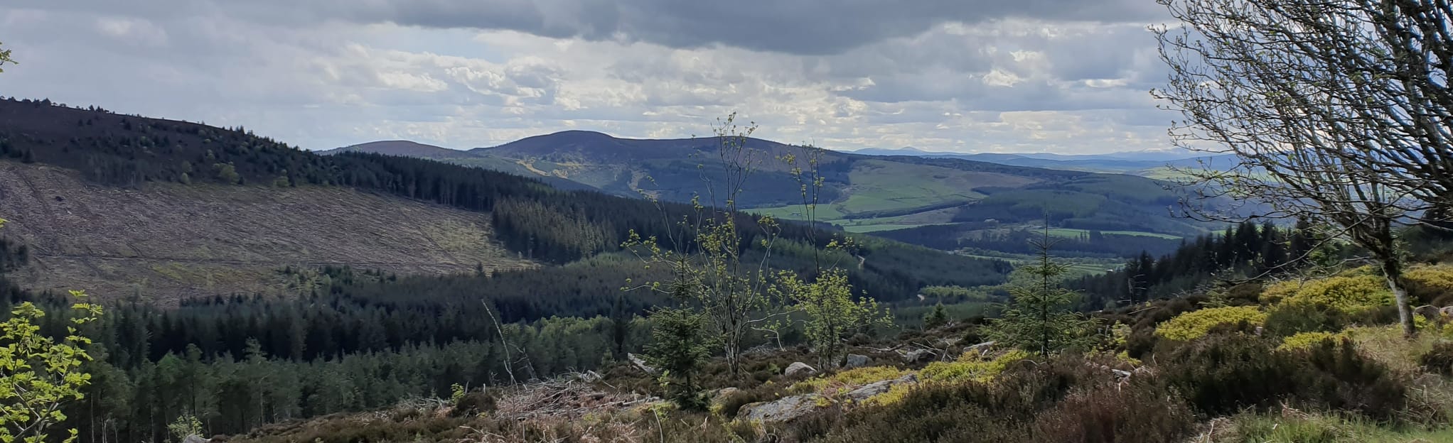 The Gordon Way Trail from Suie Hill, Aberdeenshire, Scotland - 14 ...