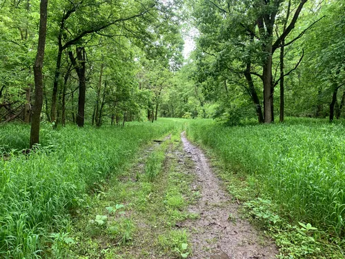 Best Hikes and Trails in Talbot Conservation Area | AllTrails