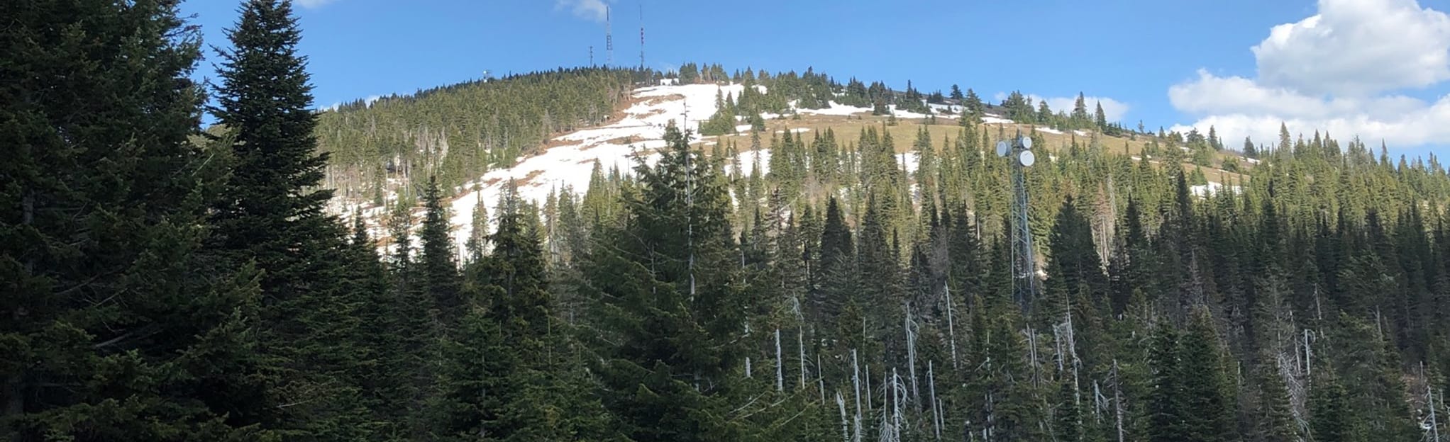 Mount Spokane: 189 Reviews, Map - Washington | AllTrails