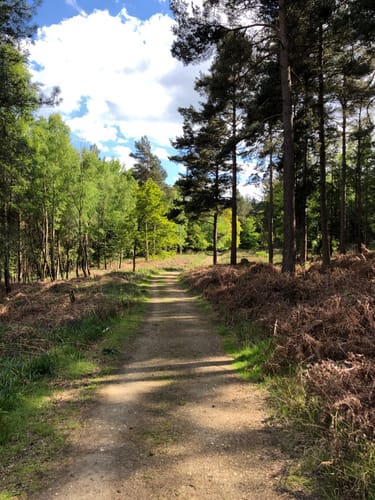 2023 Best 10 River Trails in High Weald Area of Outstanding Natural ...