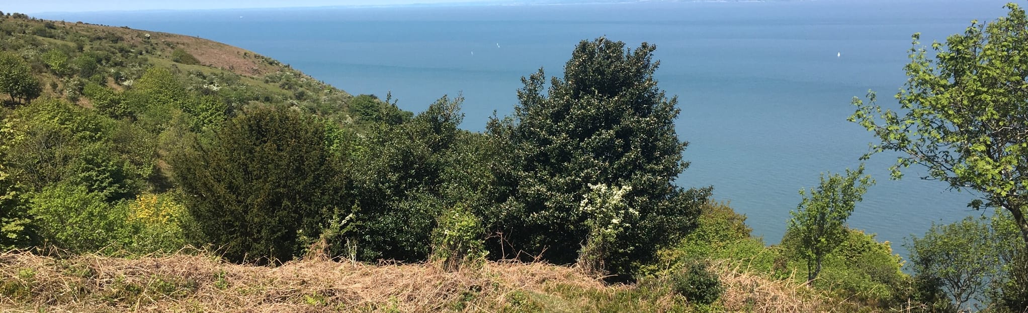 Exmoor Circular: 11 Reviews, Map - Somerset, England | AllTrails