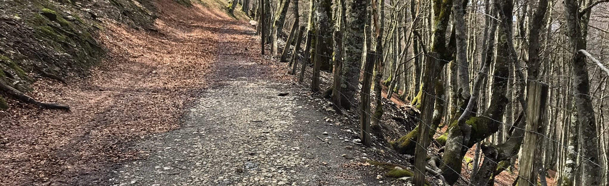 GR® 65 Etappe 33: Saint-Jean-Pied-de-Port - Roncesvalles: 773 foto's ...