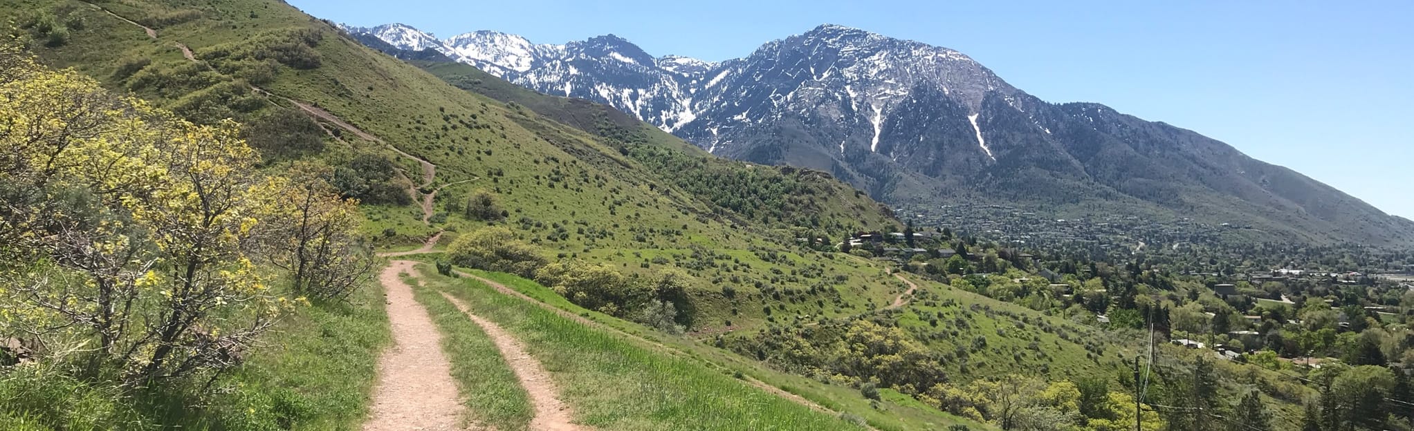 Crestwood Gulch Trail Loop: 119 Reviews, Map - Utah | AllTrails