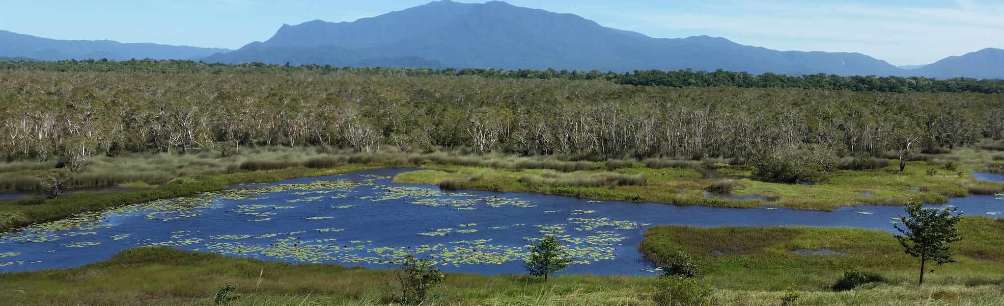 Eubenangee Swamp Wetlands: 11 fotos - Queensland, Australia | AllTrails