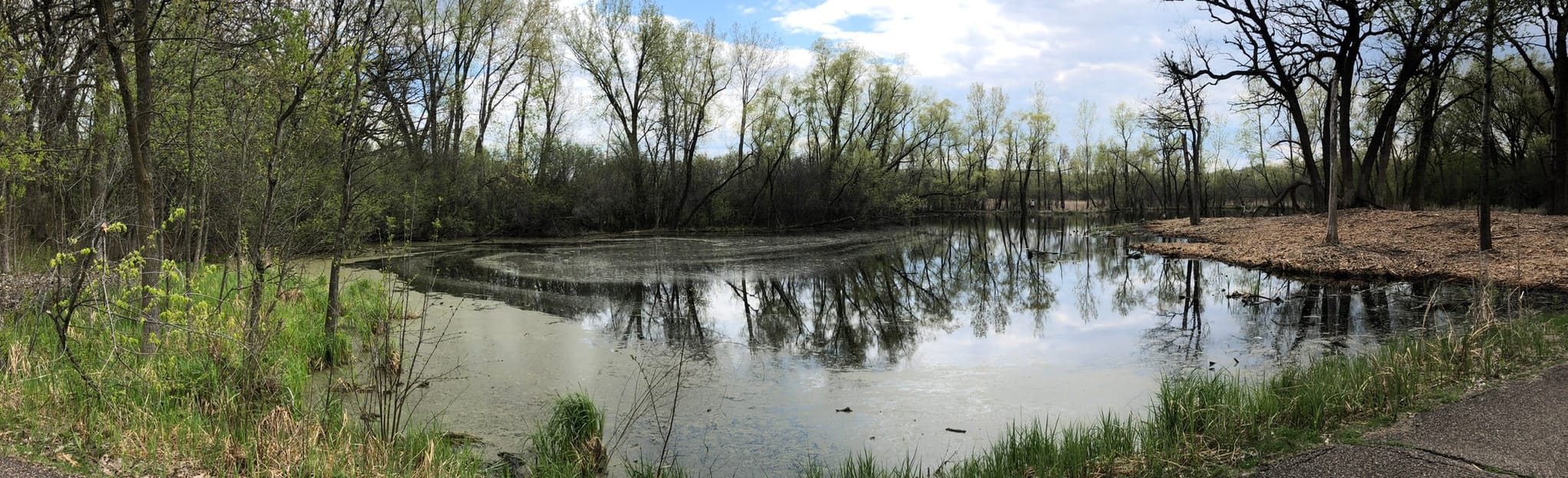 Big Loop Nature Trail , Minnesota - 157 Reviews, Map | AllTrails