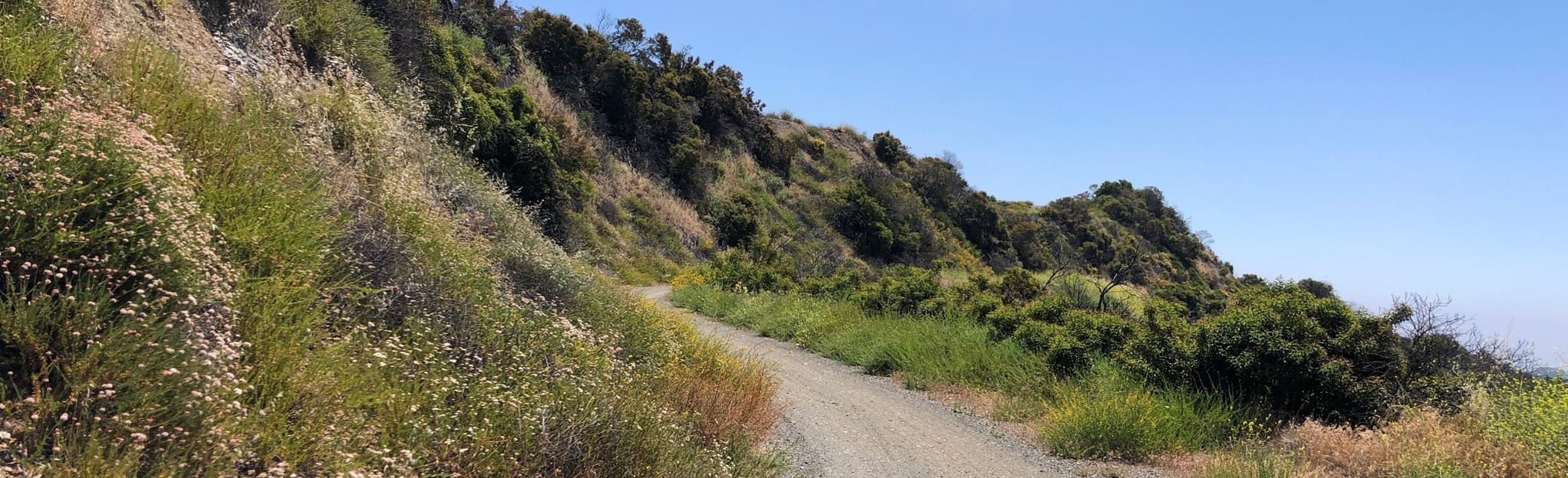 AllTrails | Sullivan Canyon and Ridge Loop [CLOSED]: 211 Reviews, Map ...