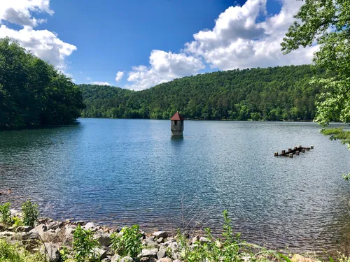 Best Hikes and Trails in Berry College Nature Preserve | AllTrails